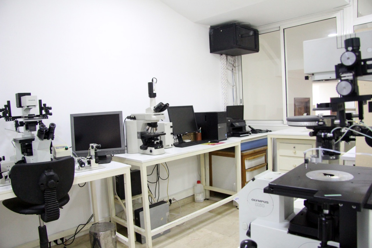 Embryoscopy in your early pregnancy unit – Official MSERM Website