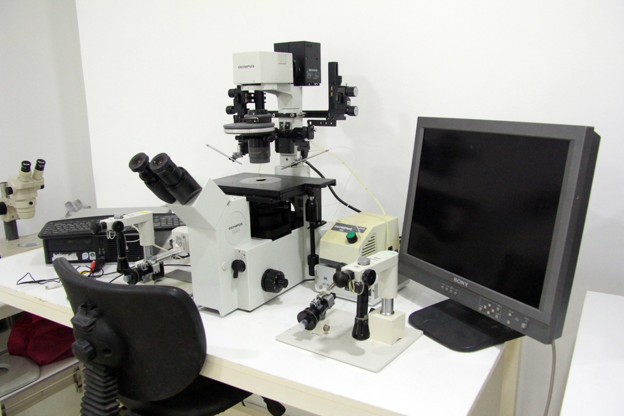 Embryoscopy in your early pregnancy unit – Official MSERM Website