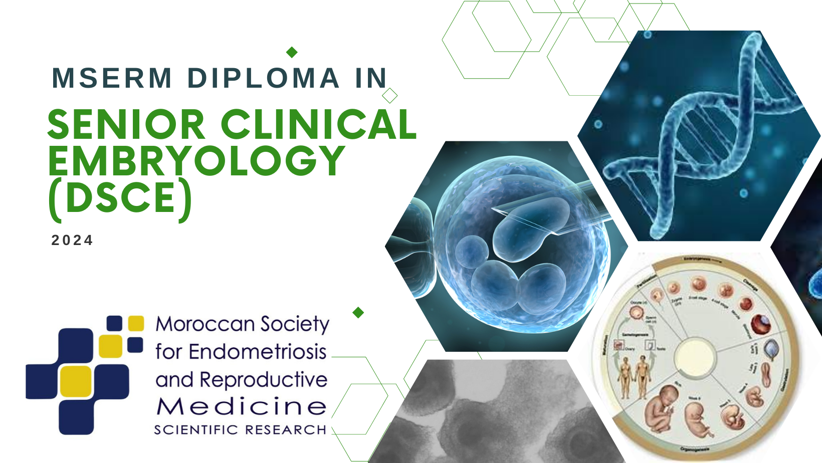 MSERM Diploma in Senior Clinical Embryology – DSCE – Official MSERM Website